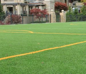 Sport Grass Perth | Sport Turf Perth | Auzzie Turf